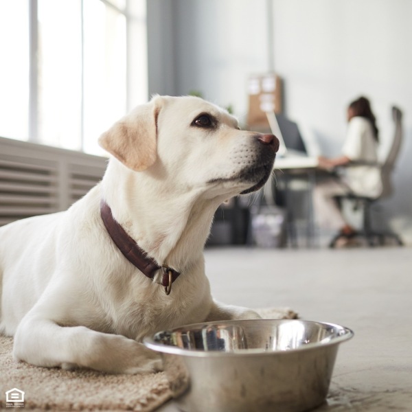 Check Out the Neighborhood | Signature Ridge Apartments